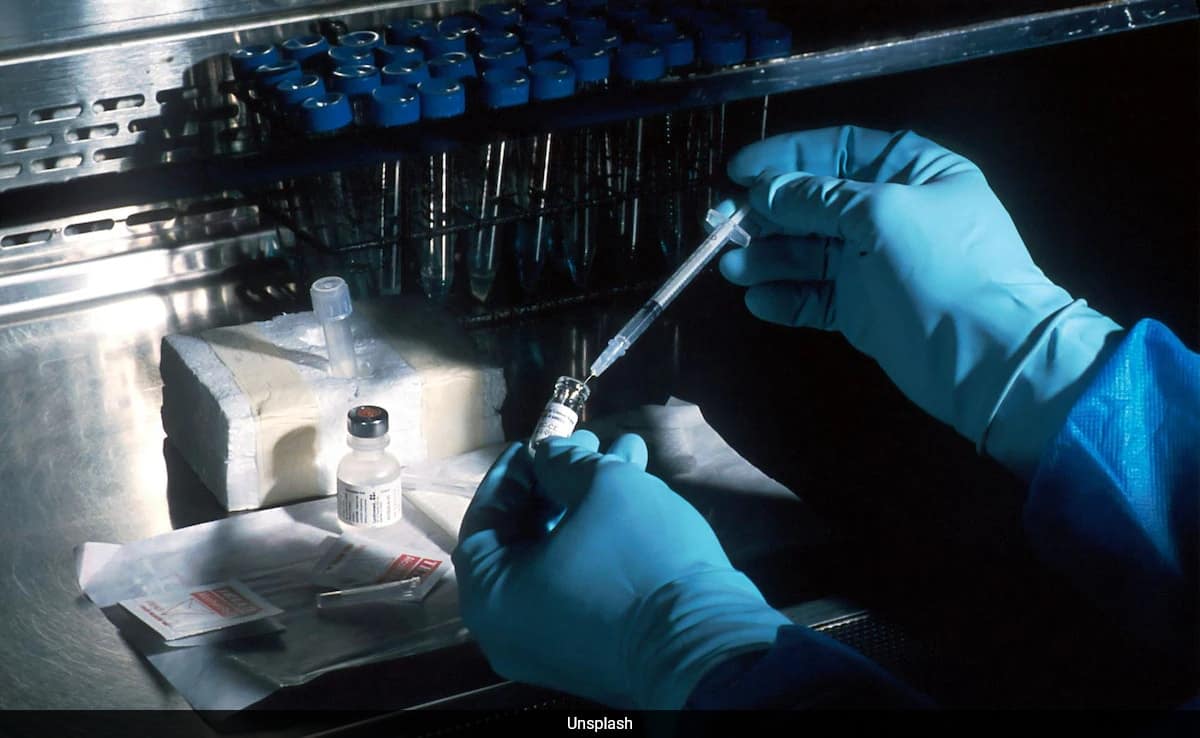 What Is Lassa Fever? Symptoms And How It Spreads - exponews